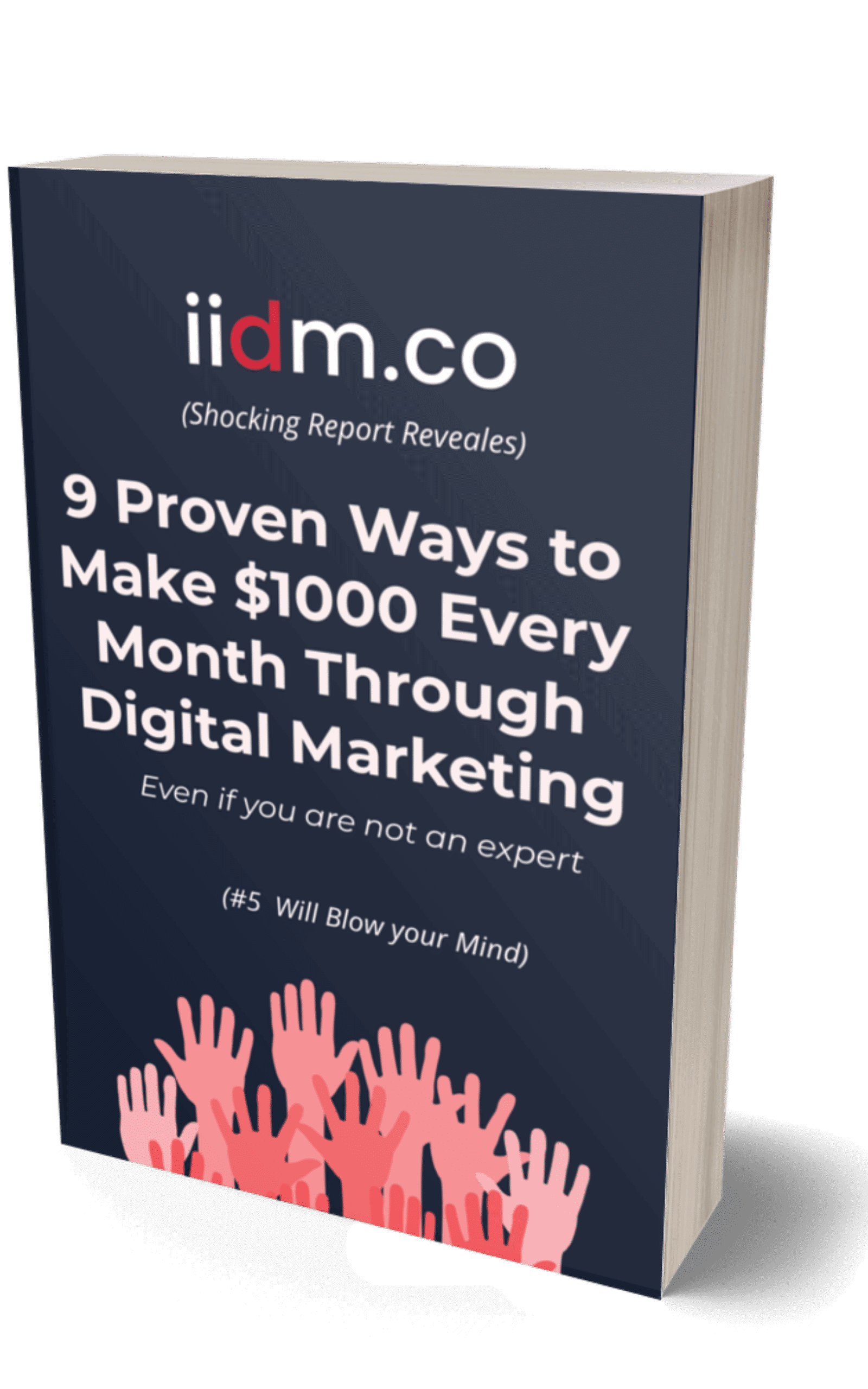 IIDM - Indian Institute of Digital Marketing | Ranked #1 in Asia